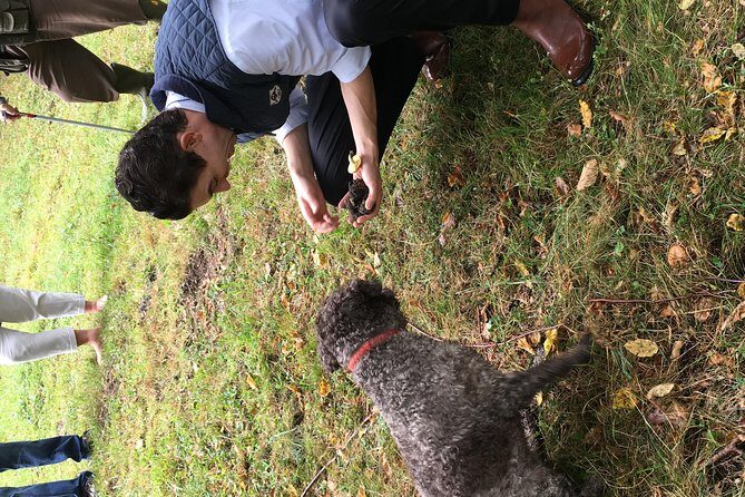 Private Hunting Of Truffle And Mushrooms With Chef Luigi Gandola In Bellagio - Practical Aspects: What You Need to Know