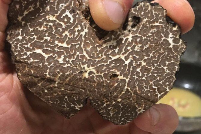 Private Hunting Of Truffle And Mushrooms With Chef Luigi Gandola In Bellagio - FAQs