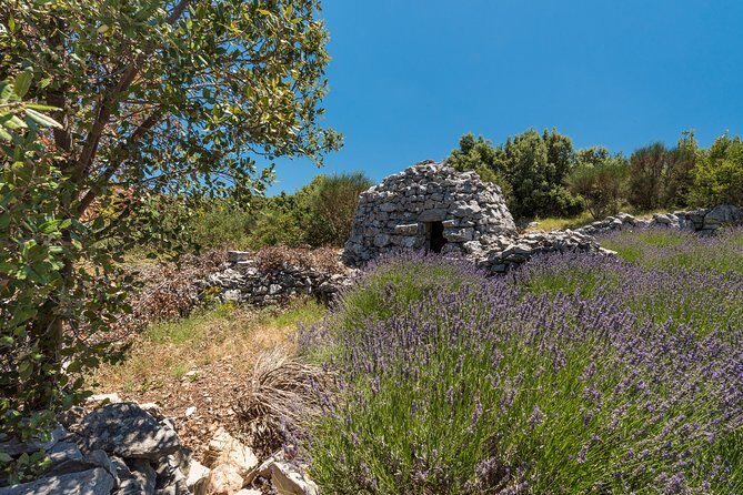 Private Hvar Island Tour and Olive Oil Tasting - What Travelers Say