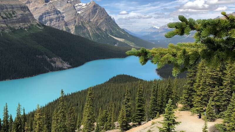 Private Icefields Parkway Tour w/ Lake Louise & Moraine Lake - An In-Depth Look at the Private Icefields Parkway Tour