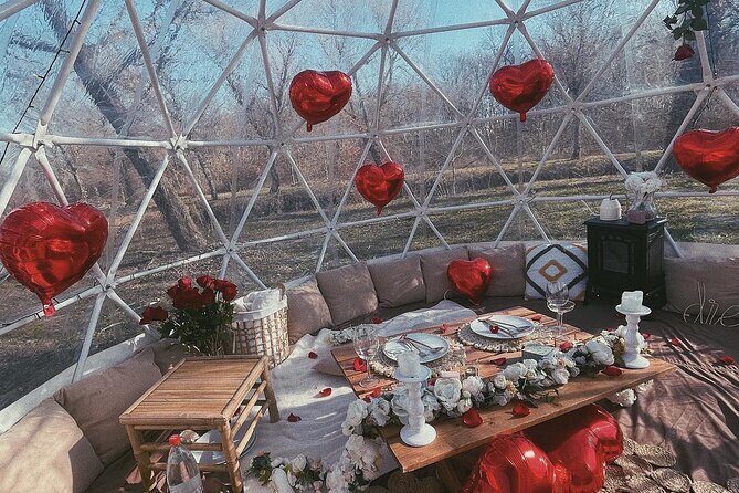 Private Igloo Picnic Experience Hungary - Introduction