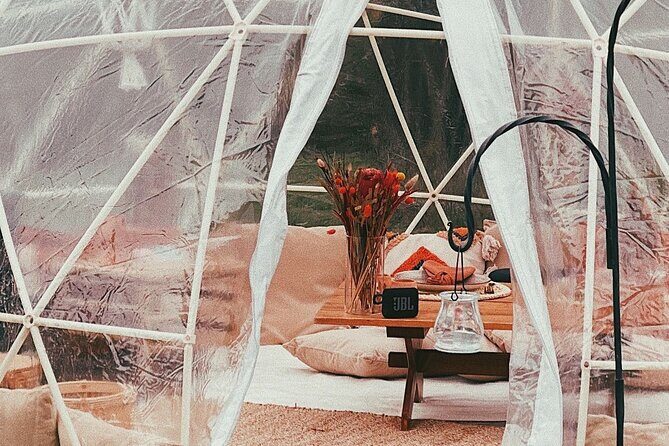 Private Igloo Picnic Experience Hungary - Key Points