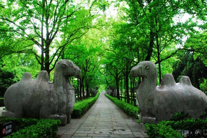 Private In-Depth Day Tour of Nanjing Purple Mountain with Lunch - Key Points