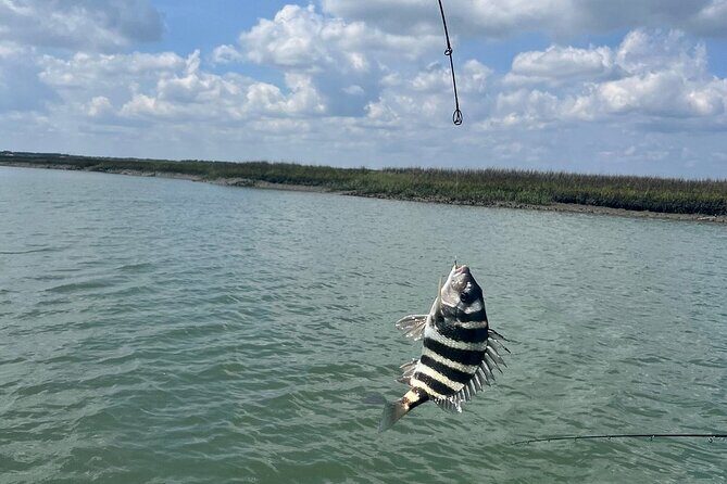 Private Inshore Fishing - Setting the Scene: What to Expect from a Private Inshore Trip