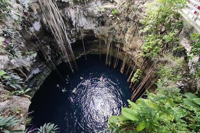 Private Instagram Cenotes Tour with Professional Photography - Who Should Consider This Tour?