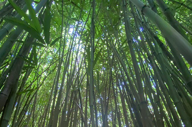 Private Instagram Tour of Maui - The Itinerary in Detail