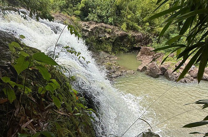 Private Instagram Tour of Maui - Meeting Point and Logistics