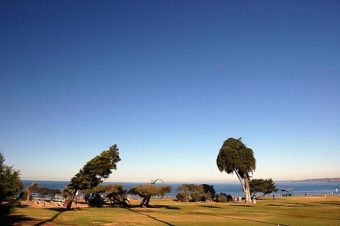 Private Instagrammable San Diego Tour  Scenic and Coastal - Key Points