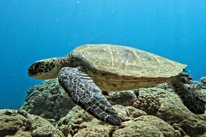 PRIVATE Introductory Discover Scuba Diving For Beginners - A Closer Look at the Experience