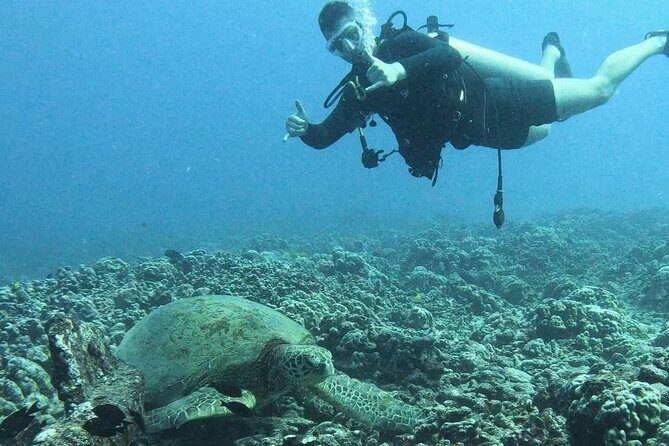 PRIVATE Introductory Discover Scuba Diving For Beginners - What Sets It Apart