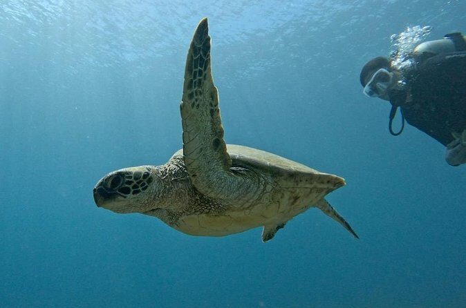 PRIVATE Introductory Discover Scuba Diving For Beginners - Final Thoughts