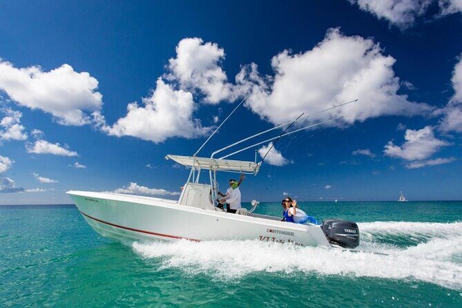 Private Isla Saona Boat Tour  Snorkeling Premium Drinks & Buffet - What We Loved