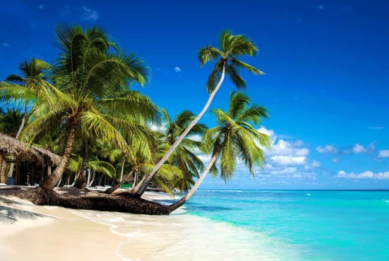 Private: Isla Saona VIP Escape Luxury Beach & Speedboat Tour - The Logistics and Value