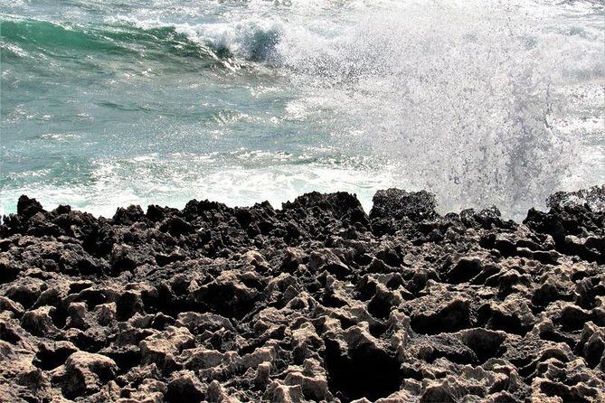 Private Island AdvenTour - Practical Details: Timing, Booking, and Flexibility
