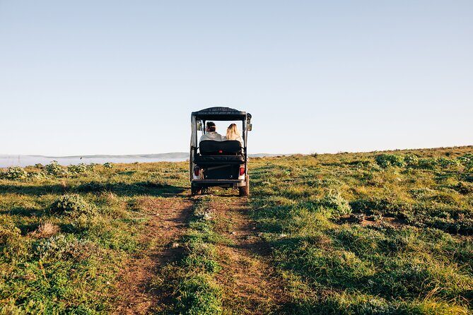 Private Island Day Tour with 6 Course Dining - Who Would Love This Tour?