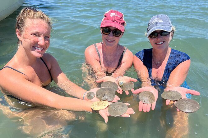 Private Island Eco Tours on a Private Boat from Shackleford Banks - Who Is This Tour For?