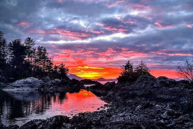 Private Island Experience in Sitka - Setting the Scene: What Makes This Tour Unique