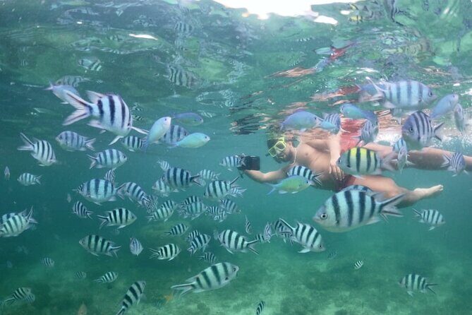 Private Island Hopping from Port Barton with Turtle Watching - Why It’s a Good Value