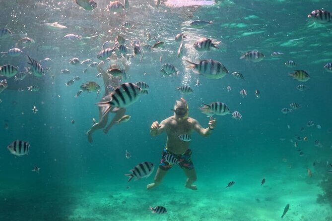 Private Island Hopping from Port Barton with Turtle Watching - Breaking Down the Experience