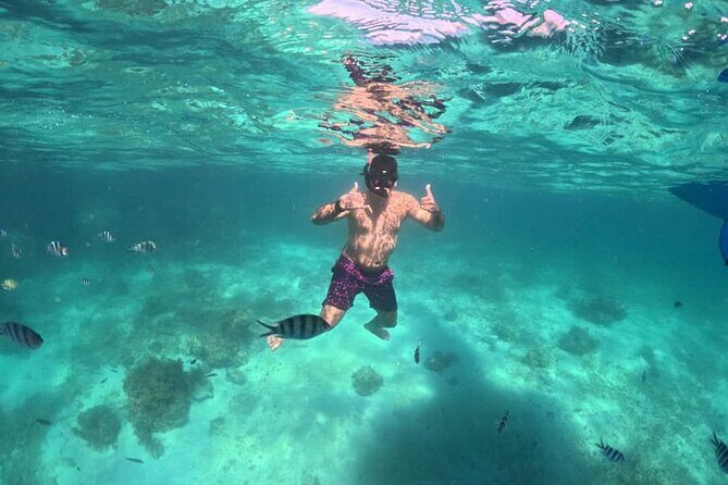 Private Island Hopping from Port Barton with Turtle Watching - Who Should Consider This Tour?