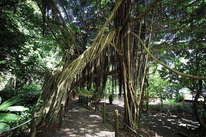 Private Island Tour ( 5 HOURS) - The Sum Up