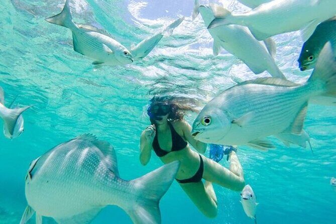 Private Island Tour at Rhythm Cozumel Groups 1 to 6 Passengers - The Value of a Private Guide