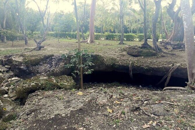 Private Island Tour at Rhythm Cozumel Groups 1 to 6 Passengers - The Sum Up: Is This Tour Right for You?