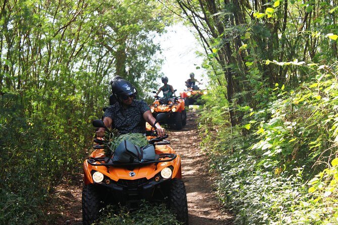 Private Island Tour by ATV / QUAD - The Price & Value