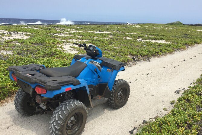 Private Island Tour in Hawaii with Pickup Included - Final Words