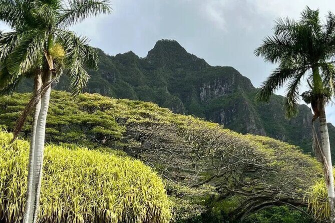Private Island Tours and Charters through the Island of Oahu - Final Thoughts