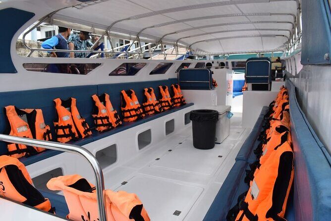 Private Islands Tour (Boat Charter, customized) - Practical Considerations