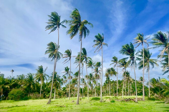 Private Islands Tour (Boat Charter, customized) - Who Would Love This Tour?