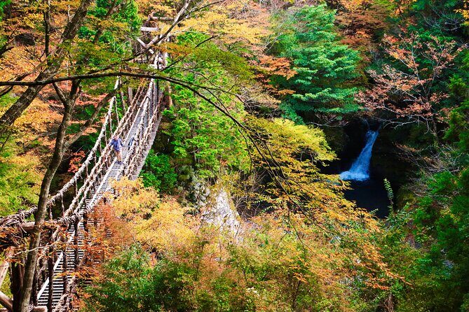 Private Iya Valley Half Day Tour - Exploring the Iya Valley with a Private Half-Day Tour