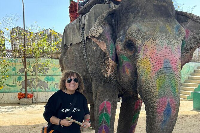 Private Jaipur Day Tour with Driver and Guide- All Inclusive - Introduction