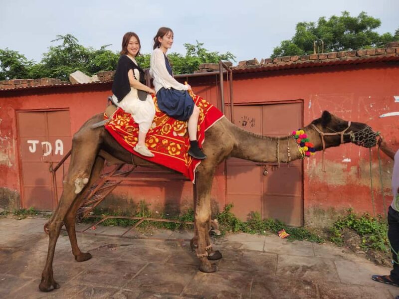 Private Jaipur(Pink City) Day Trip From Delhi By Car - Key Points