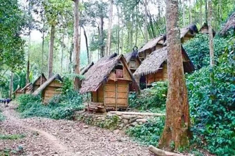 Private Jakarta Tour : Baduy Primitive Village - Practical Tips for Travelers