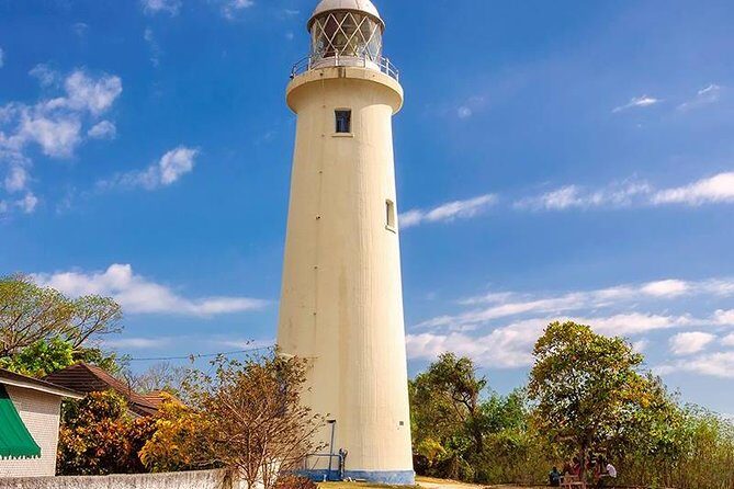 Private Jamaica West Heritage Sightseeing Tour - An In-Depth Look at the Tour Experience