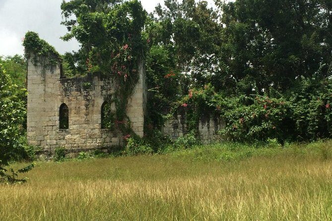 Private Jamaica West Heritage Sightseeing Tour - Final Thoughts