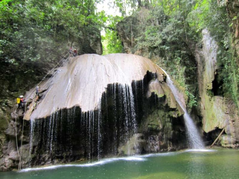 Private: Jamao Jungle Rappel & Waterfall Expedition - Dive Into the Details of the Jamao Jungle Rappel & Waterfall Tour