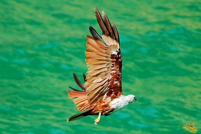 Private JAMES BOND at Phang Nga Bay - Who Should Book This Tour?