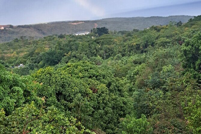 Private Jamrock Herbal Trek at Discovery Bay Jamaica - Introducing the Jamrock Herbal Trek in Discovery Bay, Jamaica