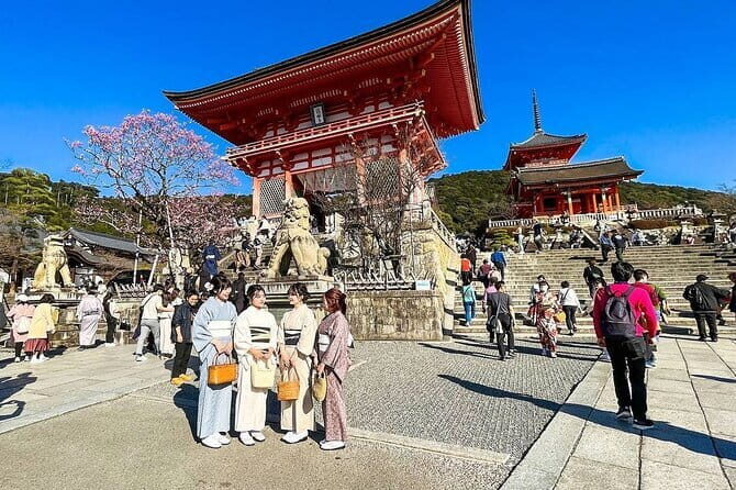 Private Japan Osaka 10 Days Experience - Tokyo’s Contrasts: From Meiji Shrine to Odaiba