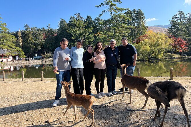 Private Japan UNESCO World Heritage Tour with Hiroshima - An In-Depth Look at the Private UNESCO Japan Tour