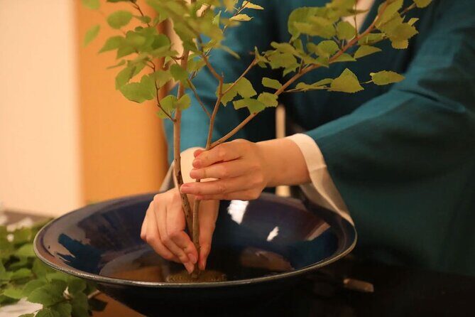 Private Japanese Traditional Flower Arrangement in Tokyo - Analyzing the Value and Suitability
