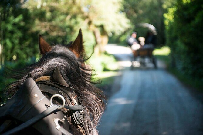 Private Jaunting Tour and Afternoon Tea in Killarney - Final Thoughts