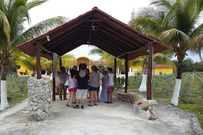 Private Jeep Excursion in Cozumel with Lunch and Snorkeling - Final Thoughts