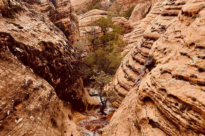 Private Jeep Ride to Explore Slot Canyons and Rock Formations - Key Points