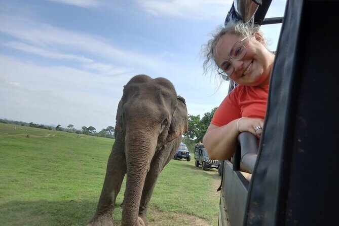 Private Jeep Safari at Minneriya National Park to Visit Elephants - FAQ