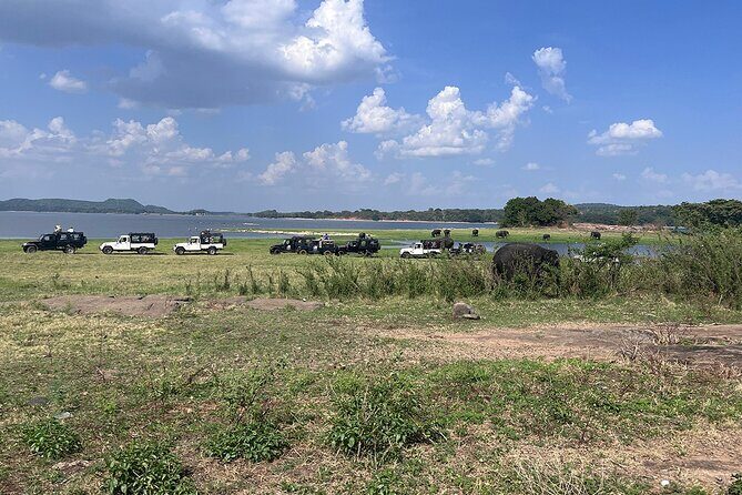 Private Jeep Safari at Minneriya National Parks - Authentic Experiences and Real Feedback