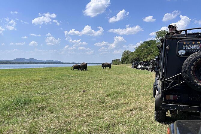 Private Jeep Safari at Minneriya National Parks - FAQ